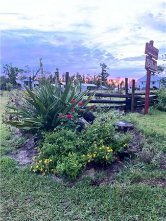 Panhandle Pioneer Settlement Museum in Blountstown | VISIT FLORIDA