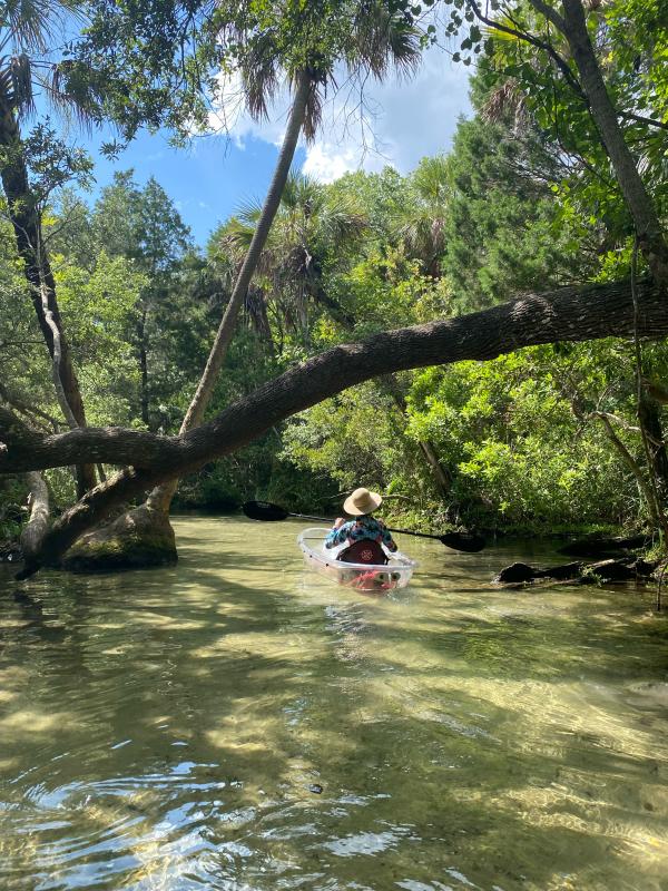 Get Up and Go Kayaking - The Chaz in Homosassa | VISIT FLORIDA