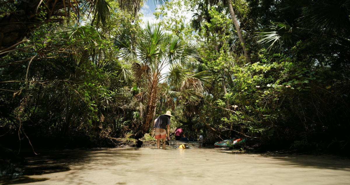 Get Up and Go Kayaking - The Chaz in Homosassa | VISIT FLORIDA