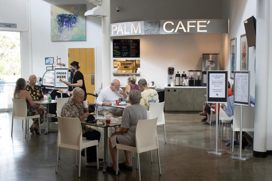 Dunedin Fine Art Center in Dunedin | VISIT FLORIDA
