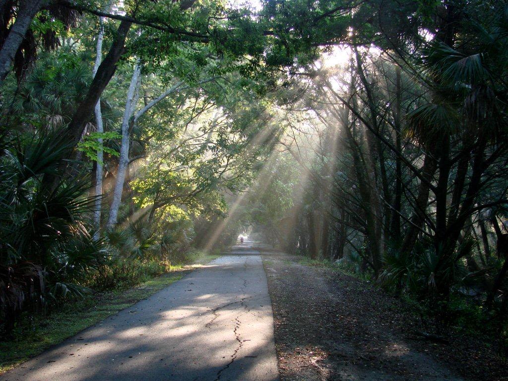 St. Joe Walkway in Palm Coast | VISIT FLORIDA