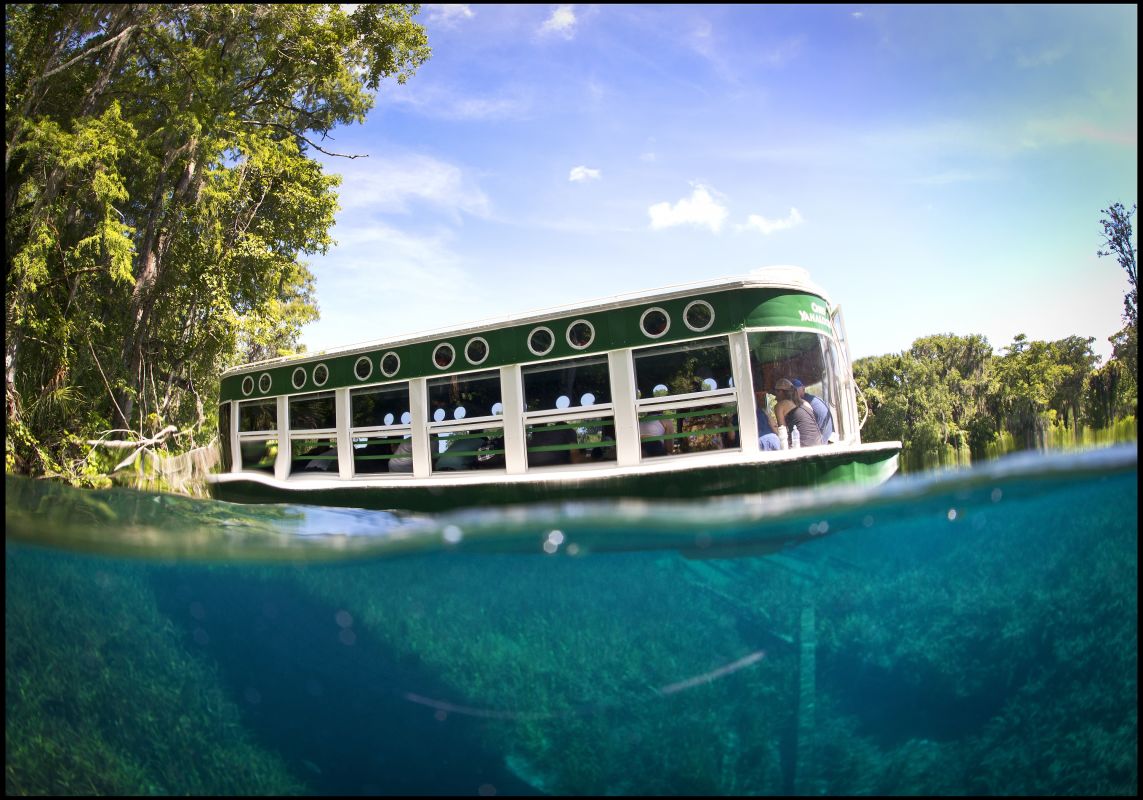 Silver Spring State Park Adventures in Silver Springs | VISIT FLORIDA