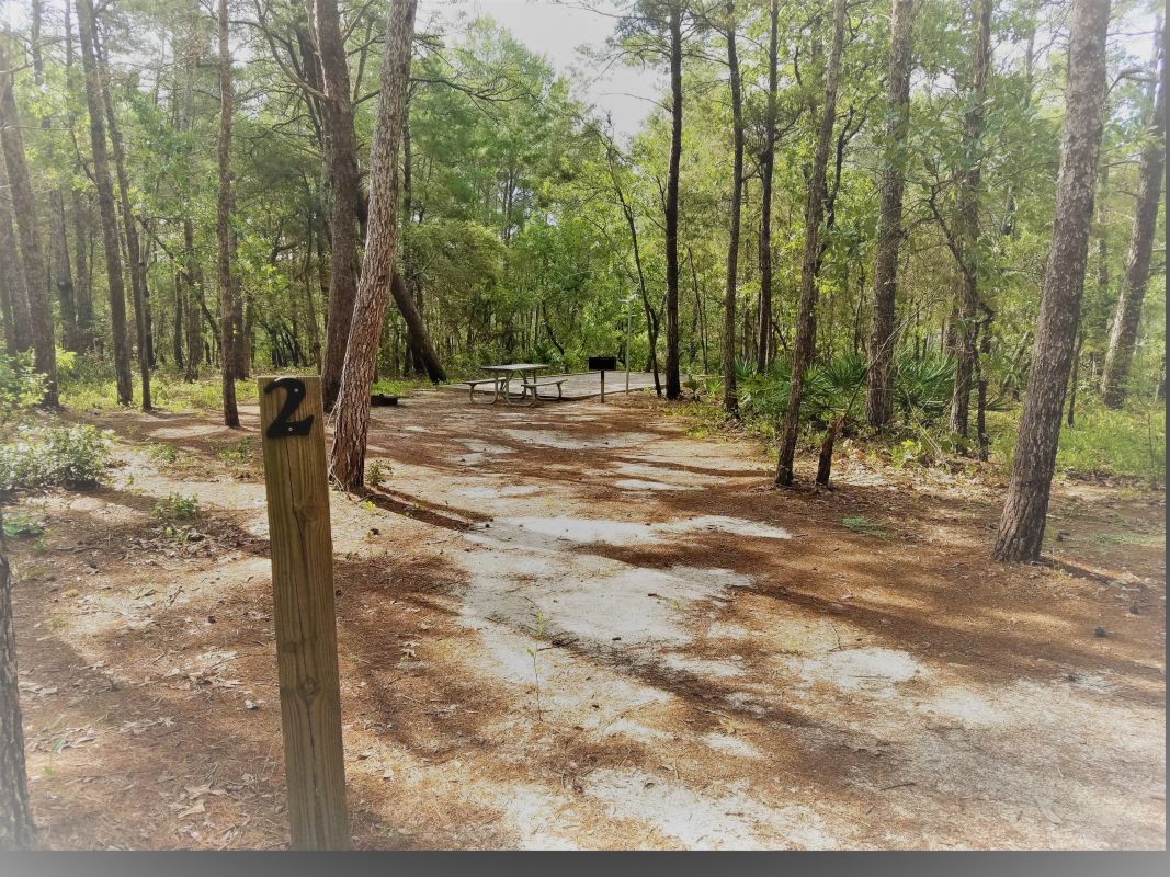 Point Washington State Forest in Santa Rosa Beach | VISIT FLORIDA