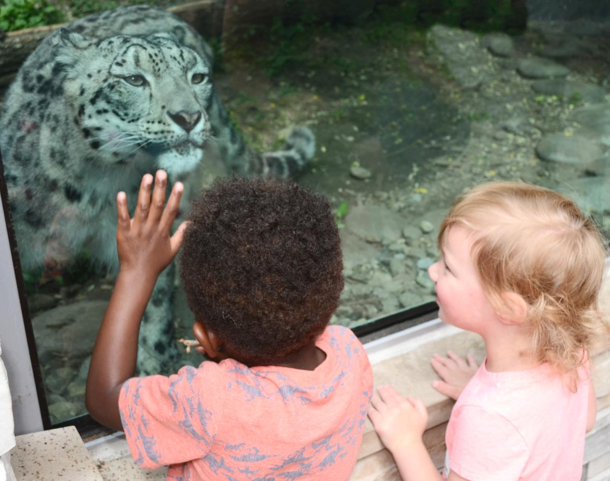 Akron Zoo in Ohio | Events, Memberships & Exhibits