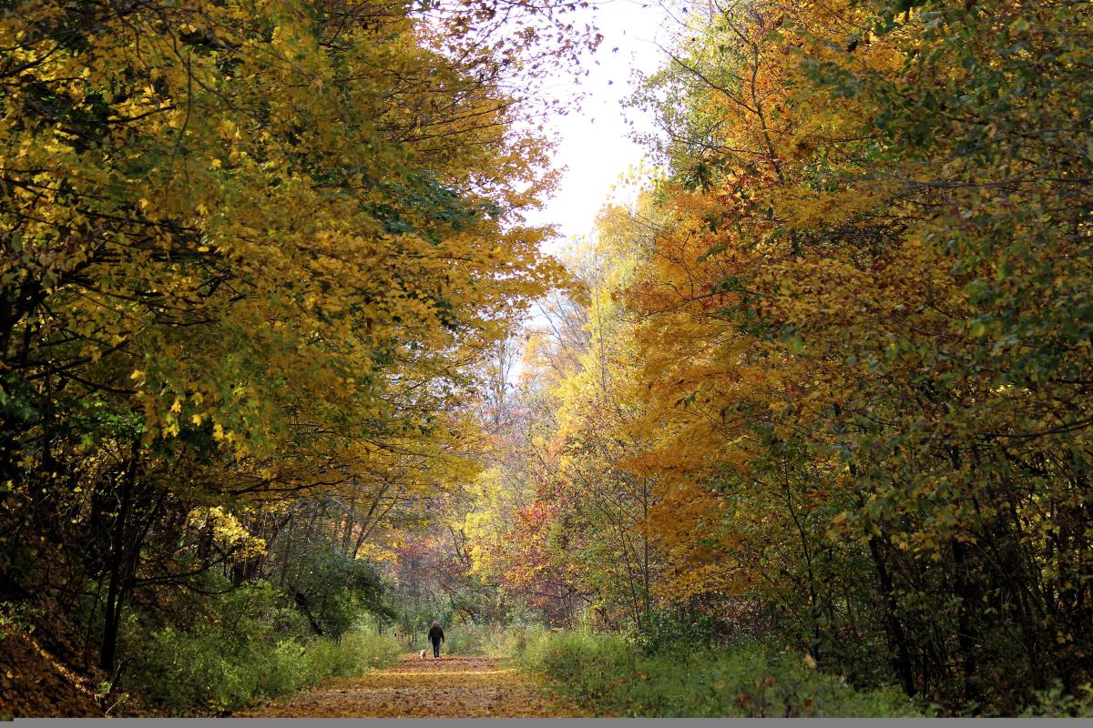 Exploring Summit Metro Parks & Cuyahoga Valley National Park