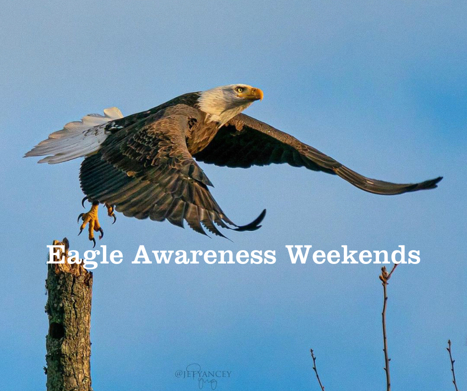 Eagle Awareness Weekends