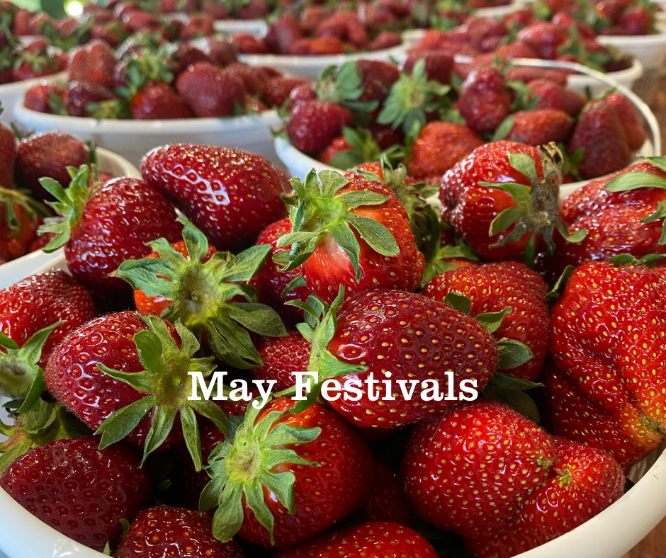 May Festivals
