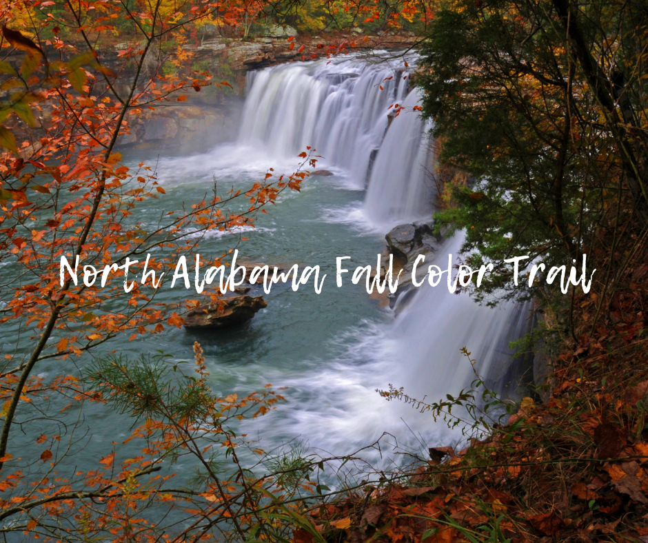 Fall in Alabama | Best Places to See Fall Foliage