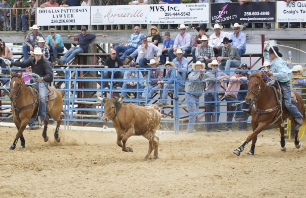 Saddle Up: Limestone Sheriff’s Rodeo Returns May 16-17