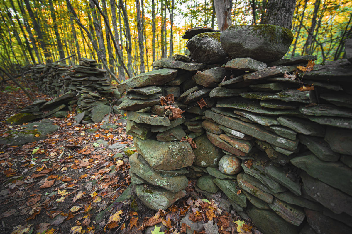 Outdoor Adventures | Hiking in Albany, NY