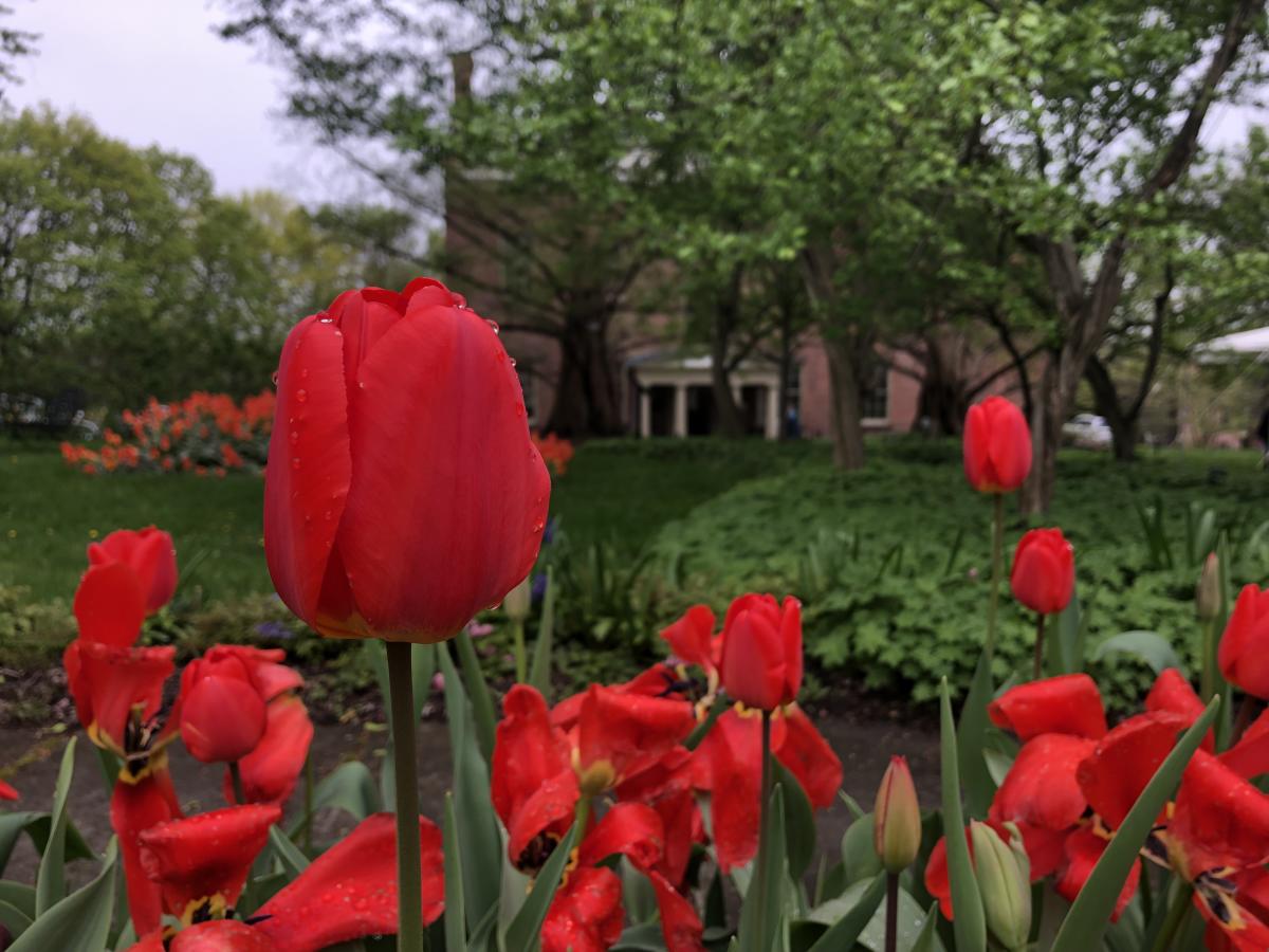 7 Ways To Celebrate Earth Day At Home 7-ways-to-celebrate-earth-day-at-home