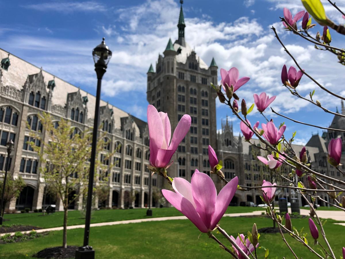 Discover Albany Blog