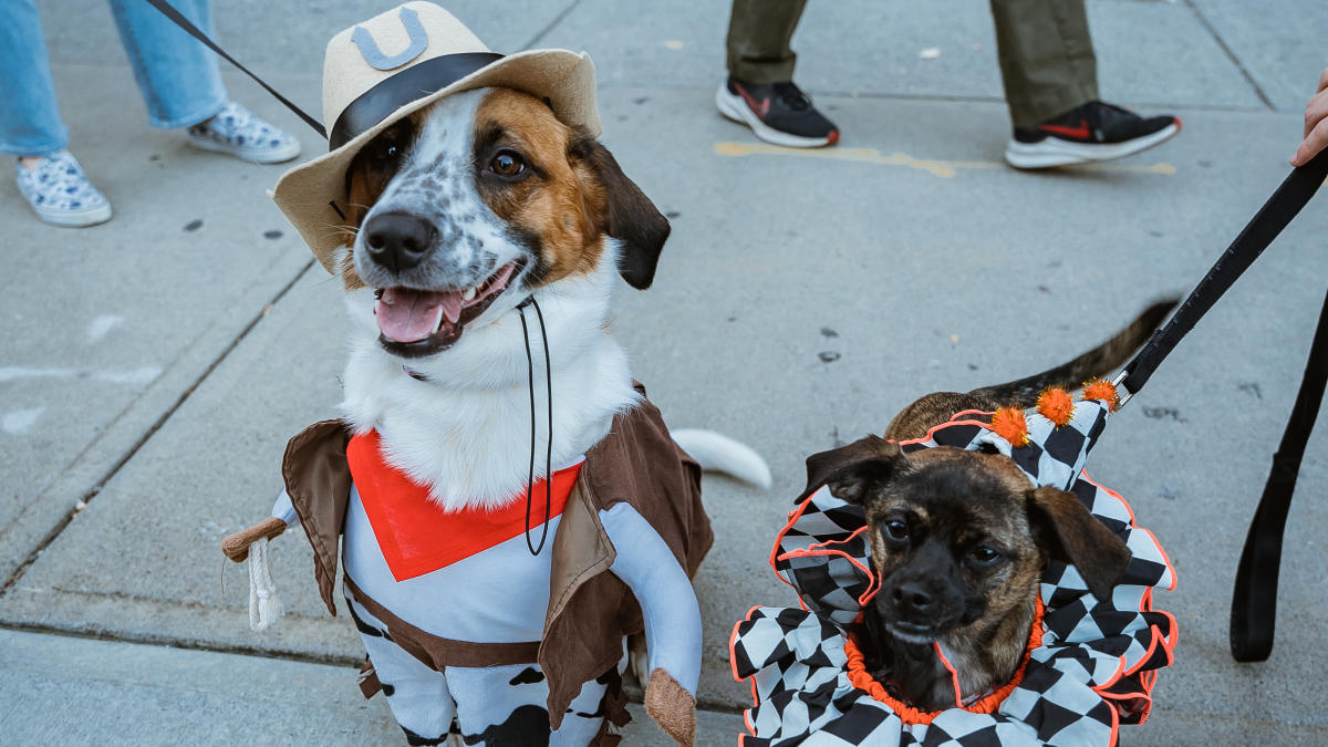 All-Hallow E'en Festival Weekly Event Roundup: October 15 to October 20