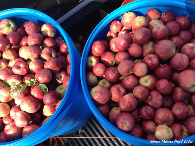 Cider City Six Places To Drink Hard Cider In Albuquerque cider-city-six-places-to-drink-hard-cider-in-albuquerque