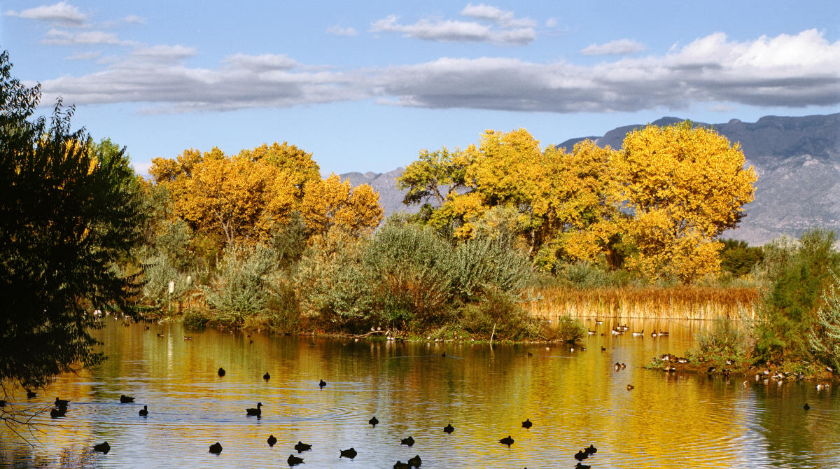 ABQ In The News: Fall 2021