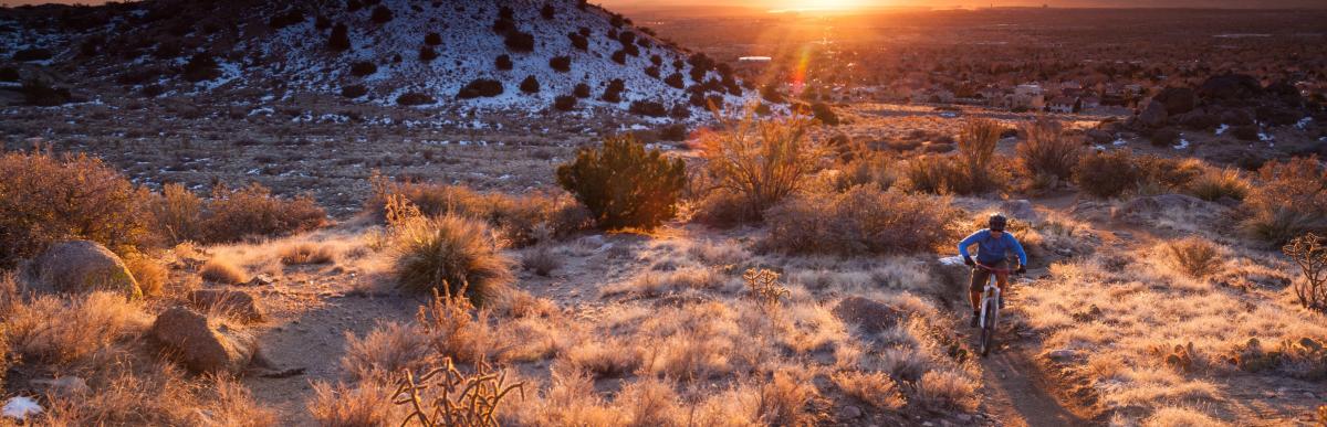 Visit Albuquerque | February 2021 Industry Insider