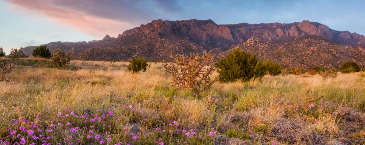 The Best Season to Visit Albuquerque | Visit Albuquerque