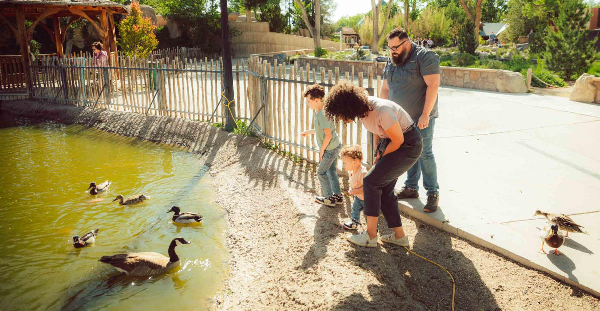 The Best Places to See Wildlife Around Albuquerque | Visit Albuquerque