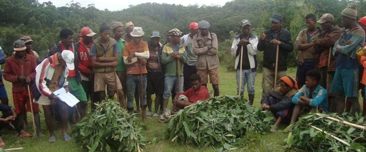 Associated Luxury Hotels International (ALHI) Launches New Sustainable ...