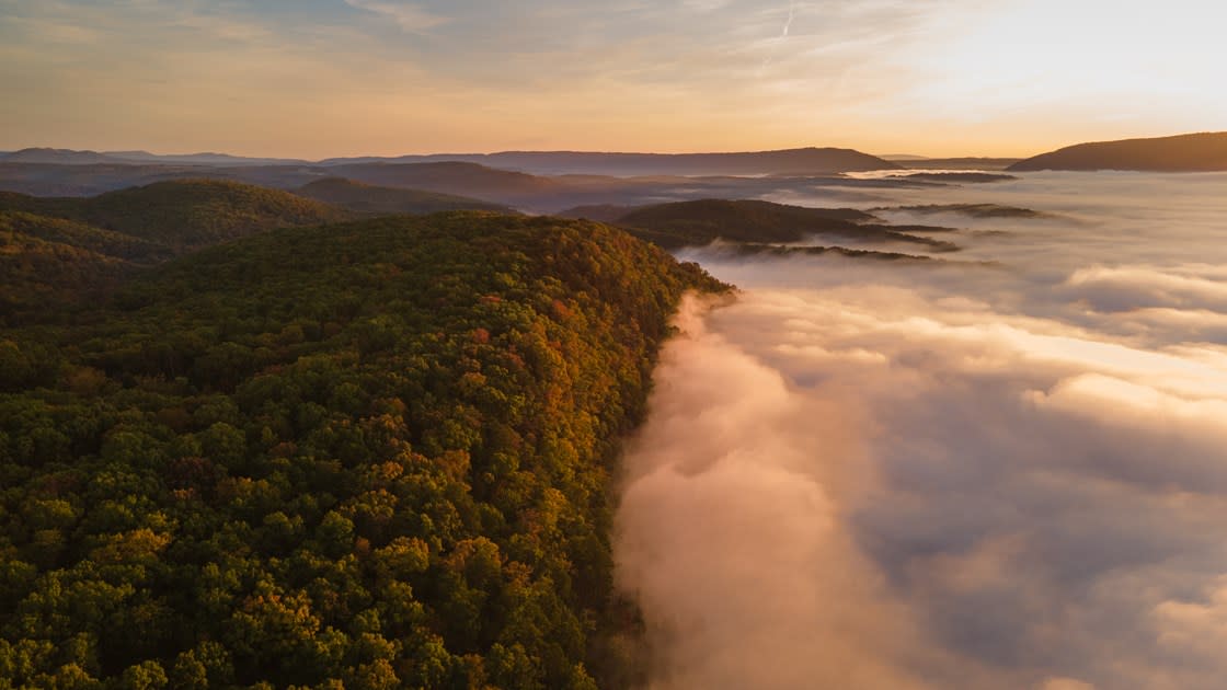 We Hit the Jackpot in Mountain Maryland