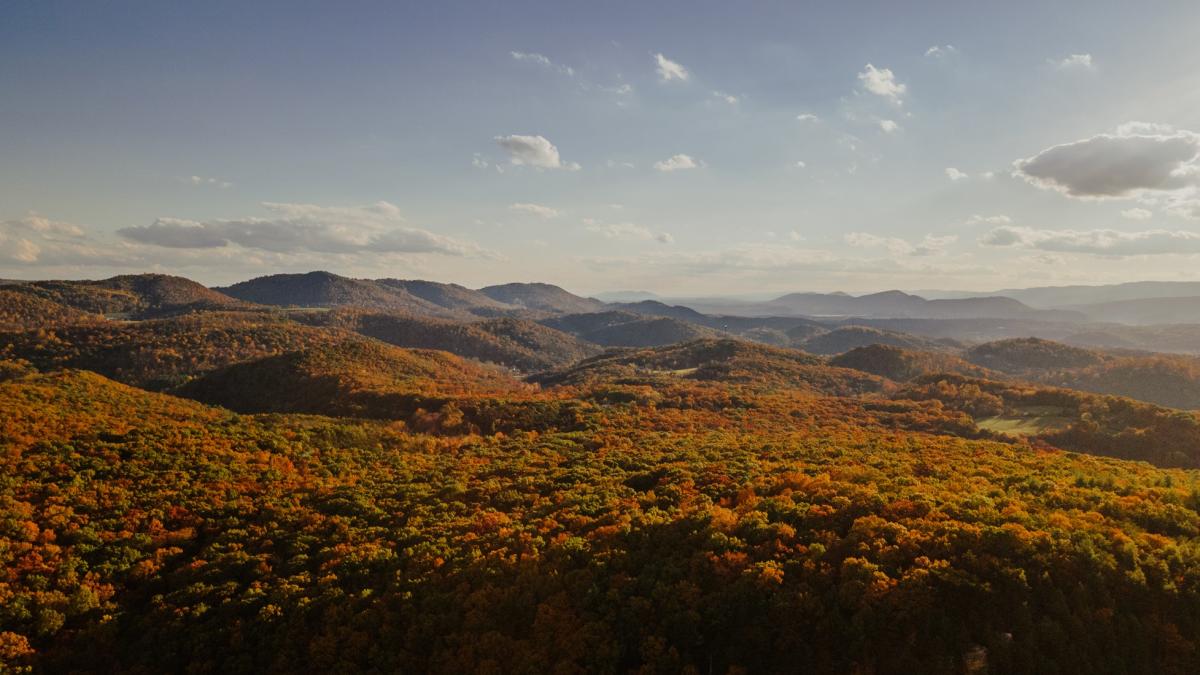 Get Back to Fall in the Mountainside - Allegany County, The Mountain ...