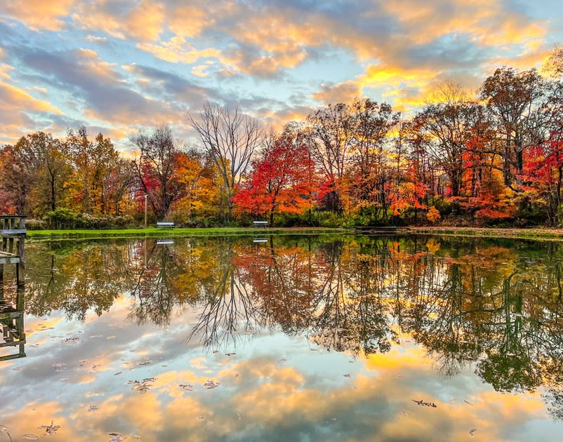 Allegany County Tourism Announces Winners for 2022 Mountain Maryland ...