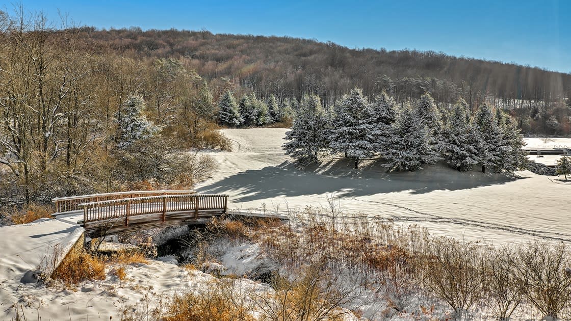 Must-Do Winter Activities