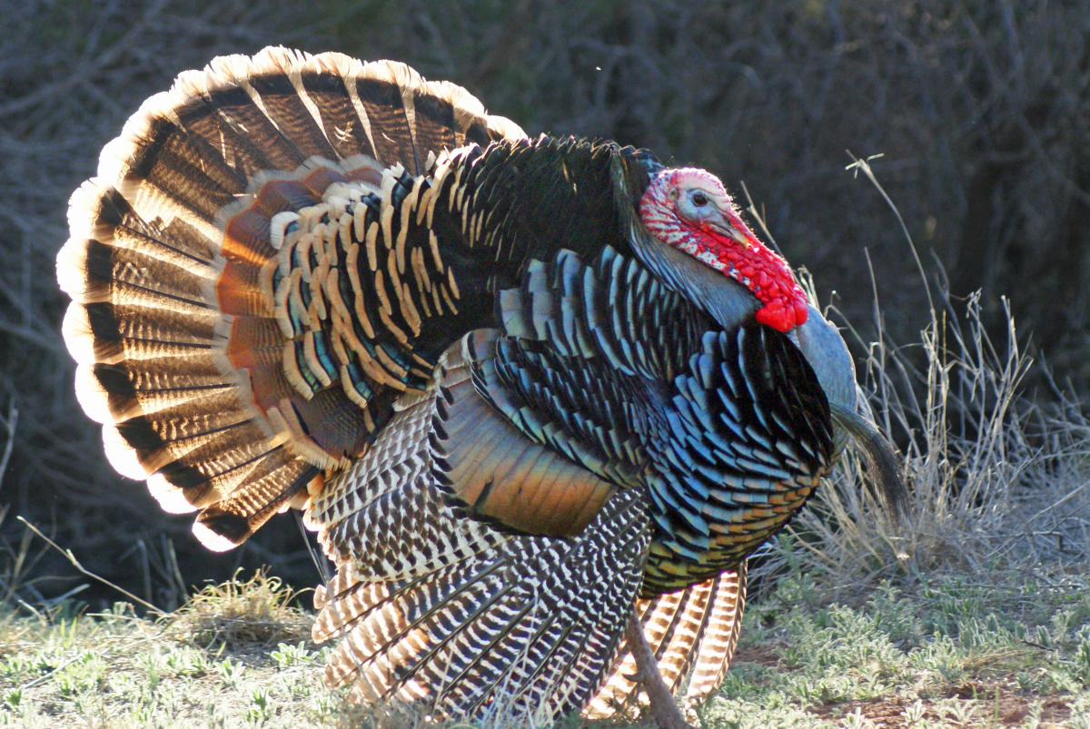 Experience Fishing & Hunting in Amarillo | Visit Amarillo