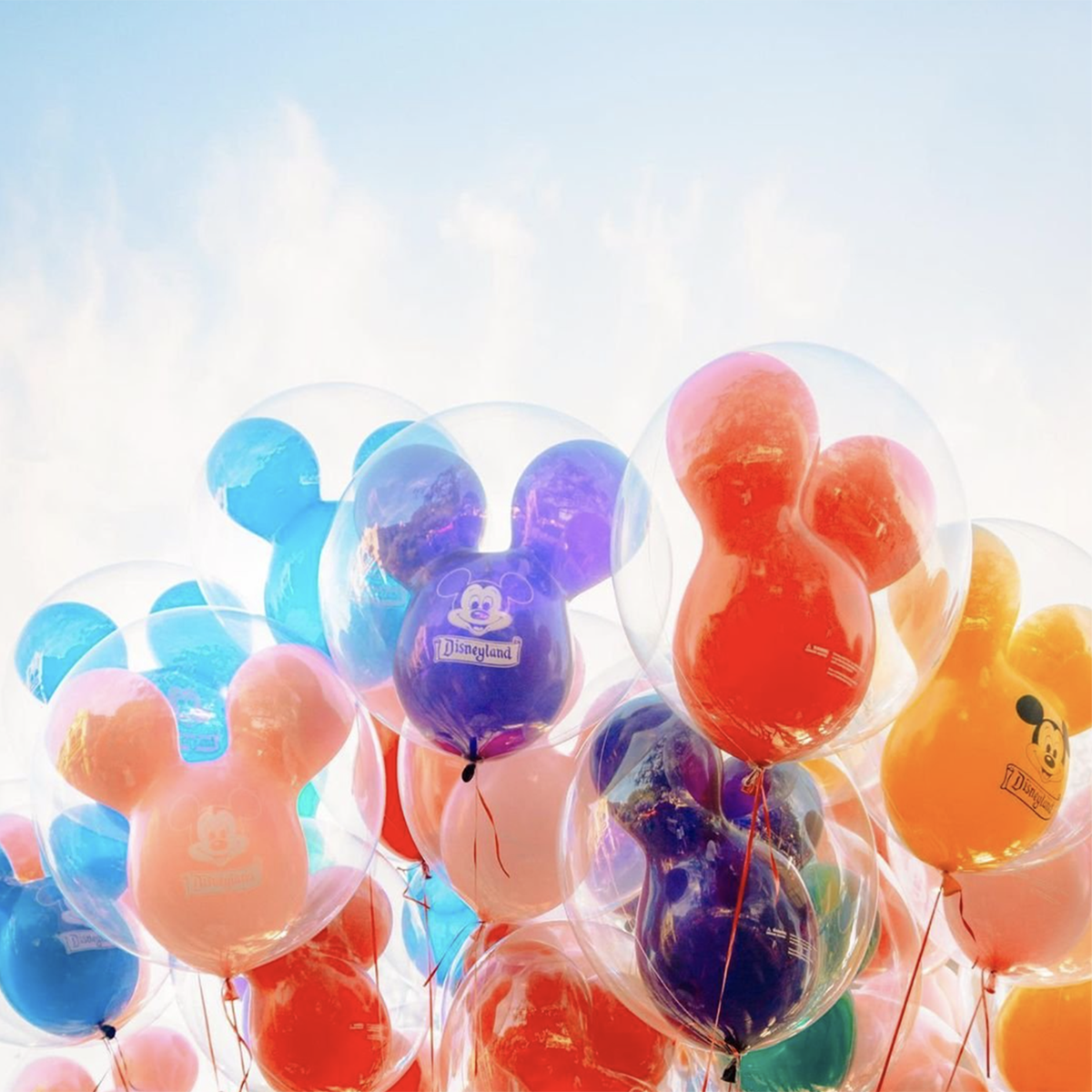 Disney World Balloons Wallpaper Disney World Relaunching College