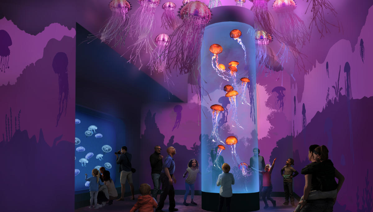 ing Underwater Wonders at SeaWorld San Diego with “Jewels of the Sea ...