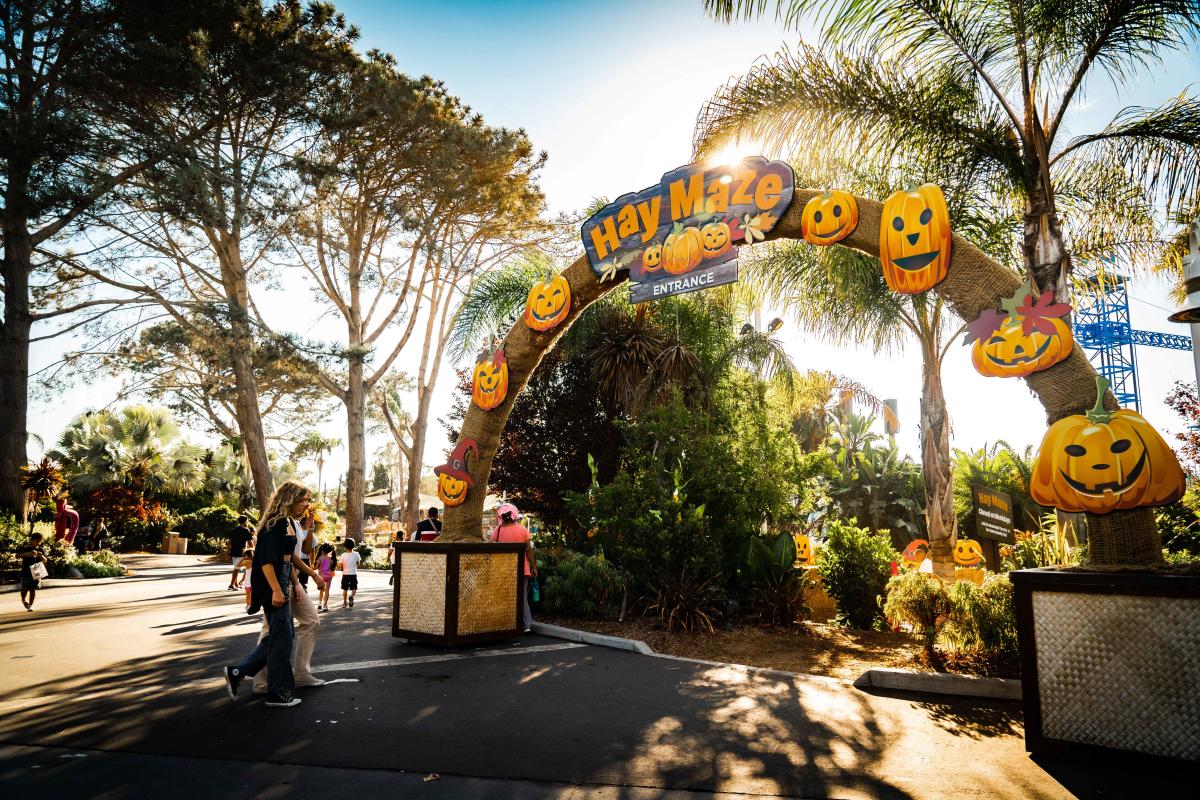 SeaWorld San Diego Transforms into a Halloween Haven during ...