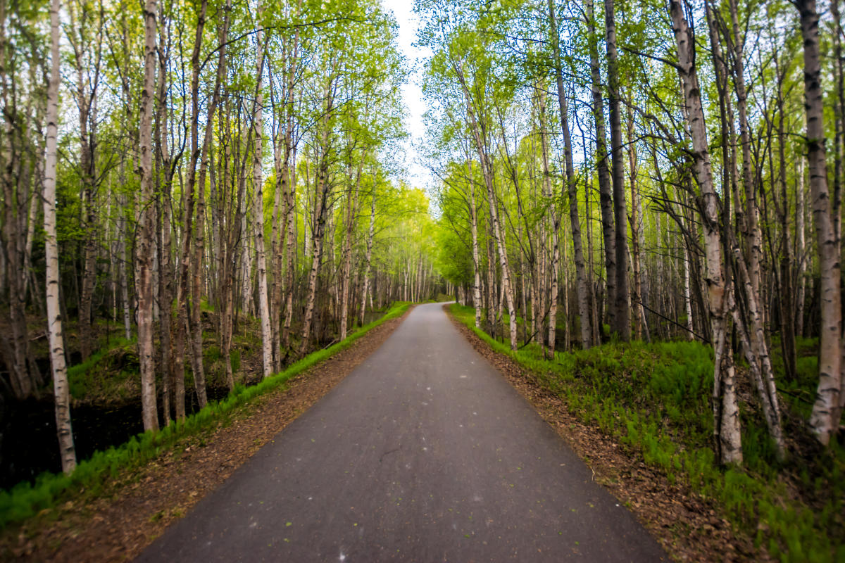 Earthquake Park | Visit Anchorage