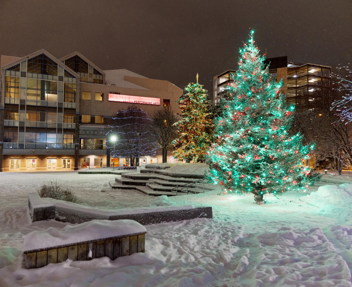 Help Shape A New December Campaign