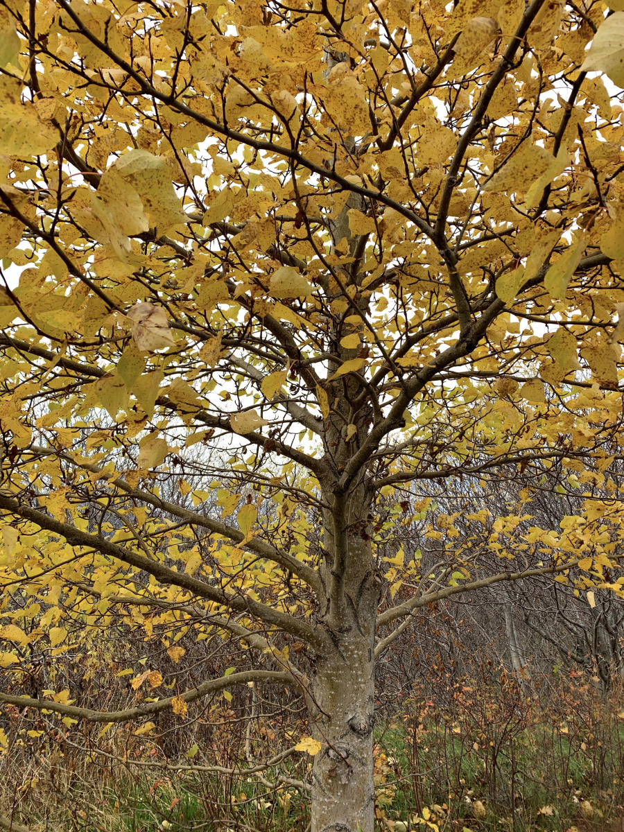 September 2022 Hotel Performance