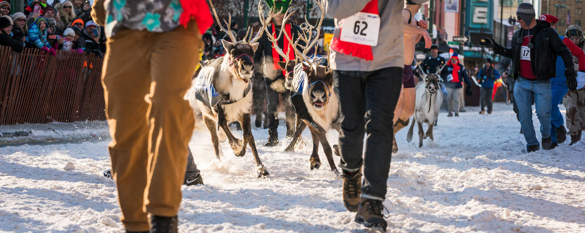 8 Favorite Festivals for Year-Round Anchorage Fun | Visit Anchorage