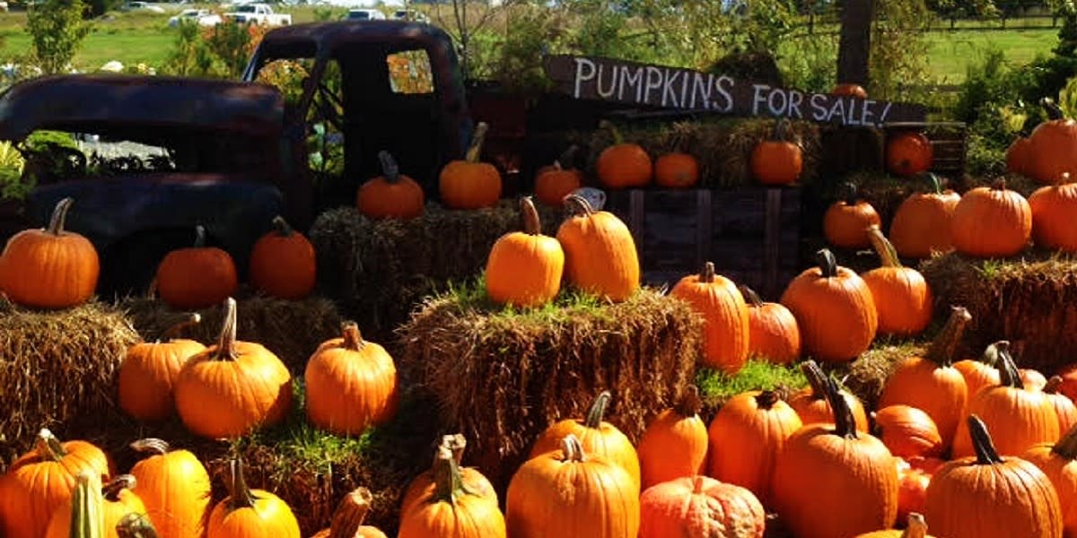 Fall Festivals in Annapolis & Anne Arundel County