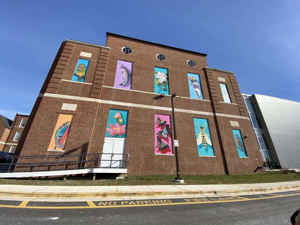 Back to School: Learn a New Skill in the Classrooms of Maryland Hall