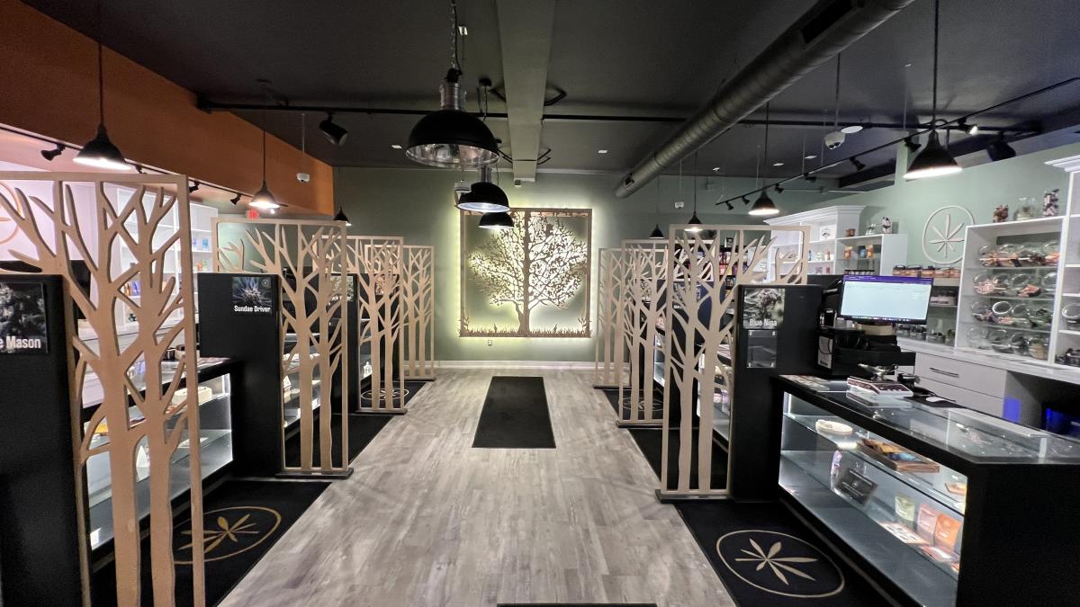Cannabis | Ann Arbor, MI