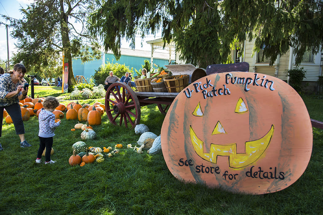 6 Ways to Enjoy Fall Fun in the Ann Arbor Area