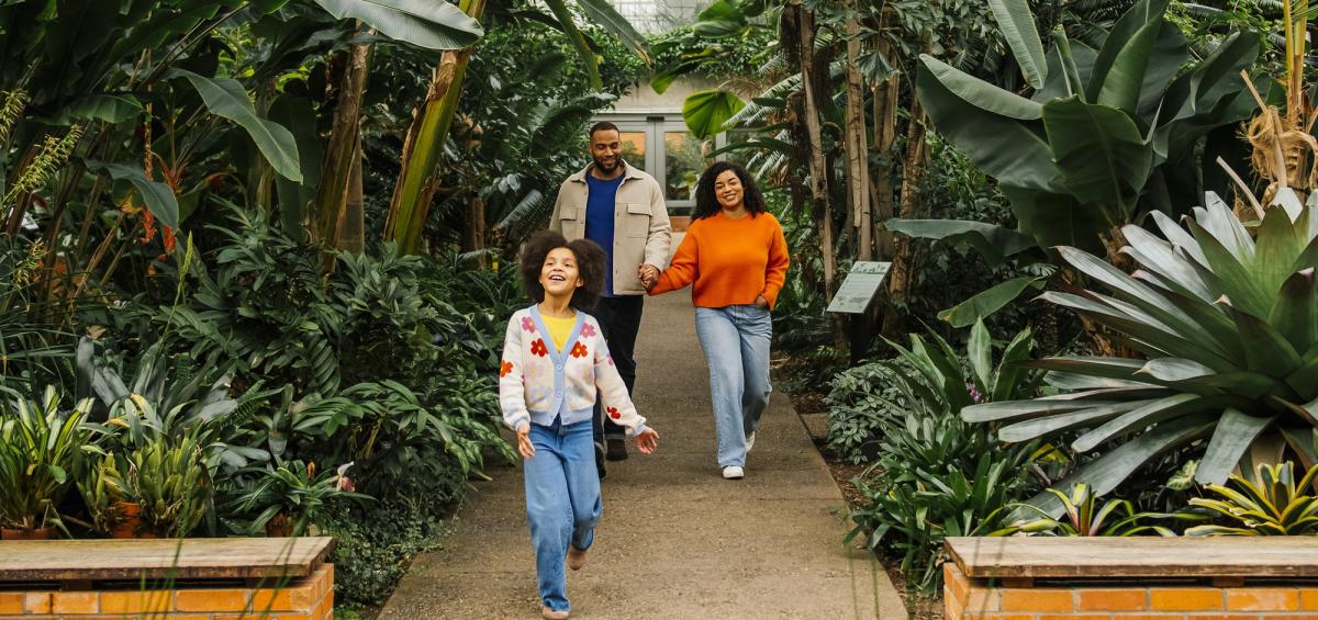 Family Activities | Ann Arbor, MI
