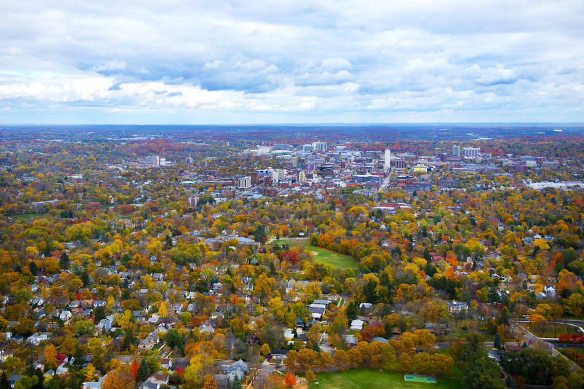 Fall Colors Abound in Tree Town