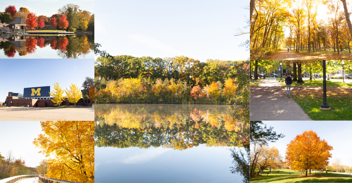 Things to Do in Ann Arbor | Ann Arbor, MI