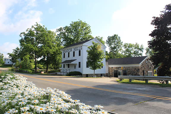 Picturesque Sharon Mills in Manchester, Michigan