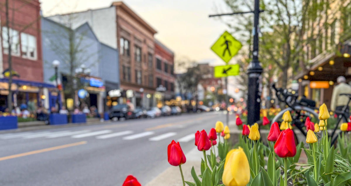 Ann Arbor Girls' Weekend: A 72-Hour Itinerary for Women 40+