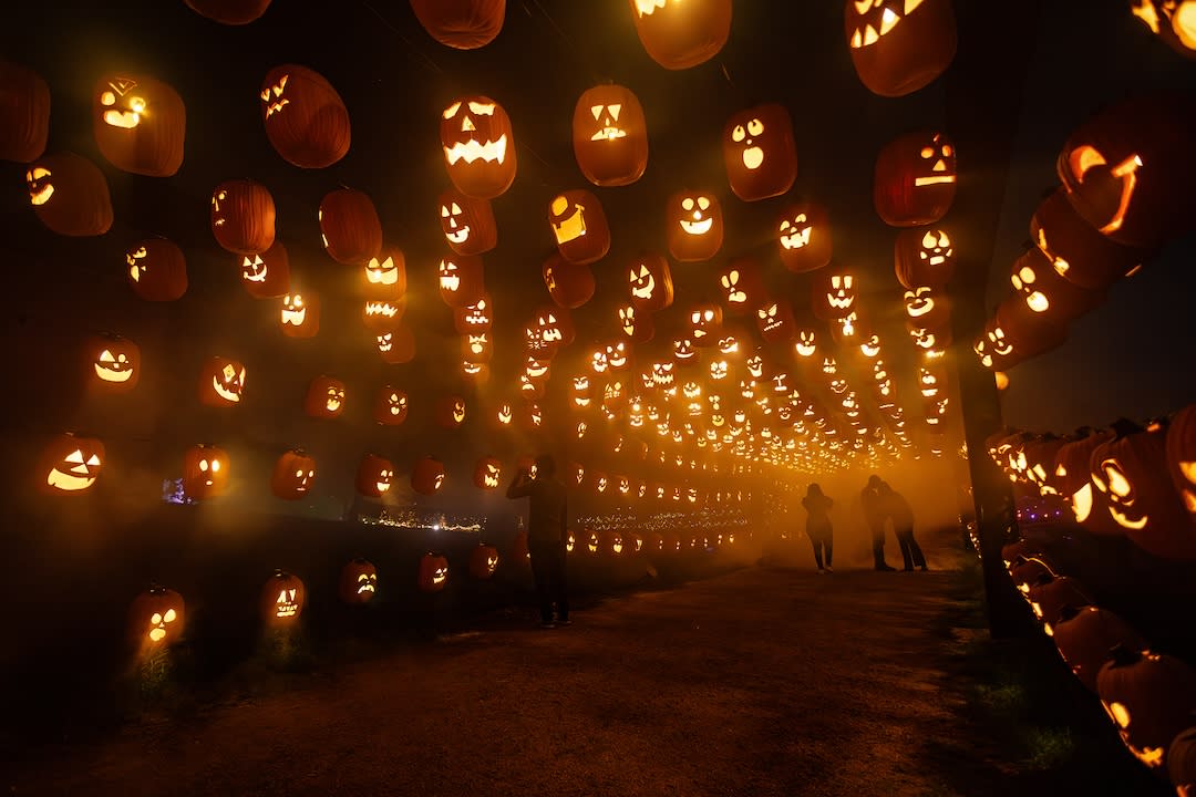 Your Ultimate Fall Bucket List in Arlington | Arlington, TX