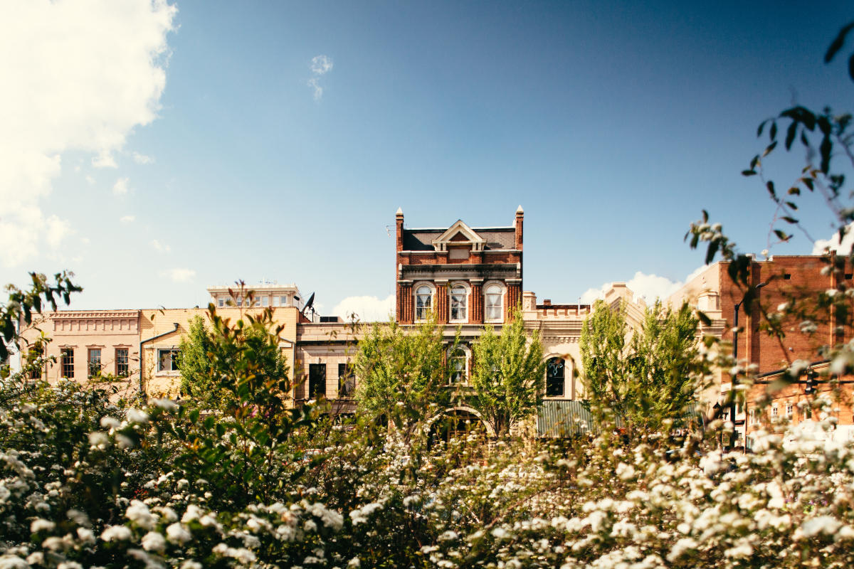 A Day in Athens, Georgia