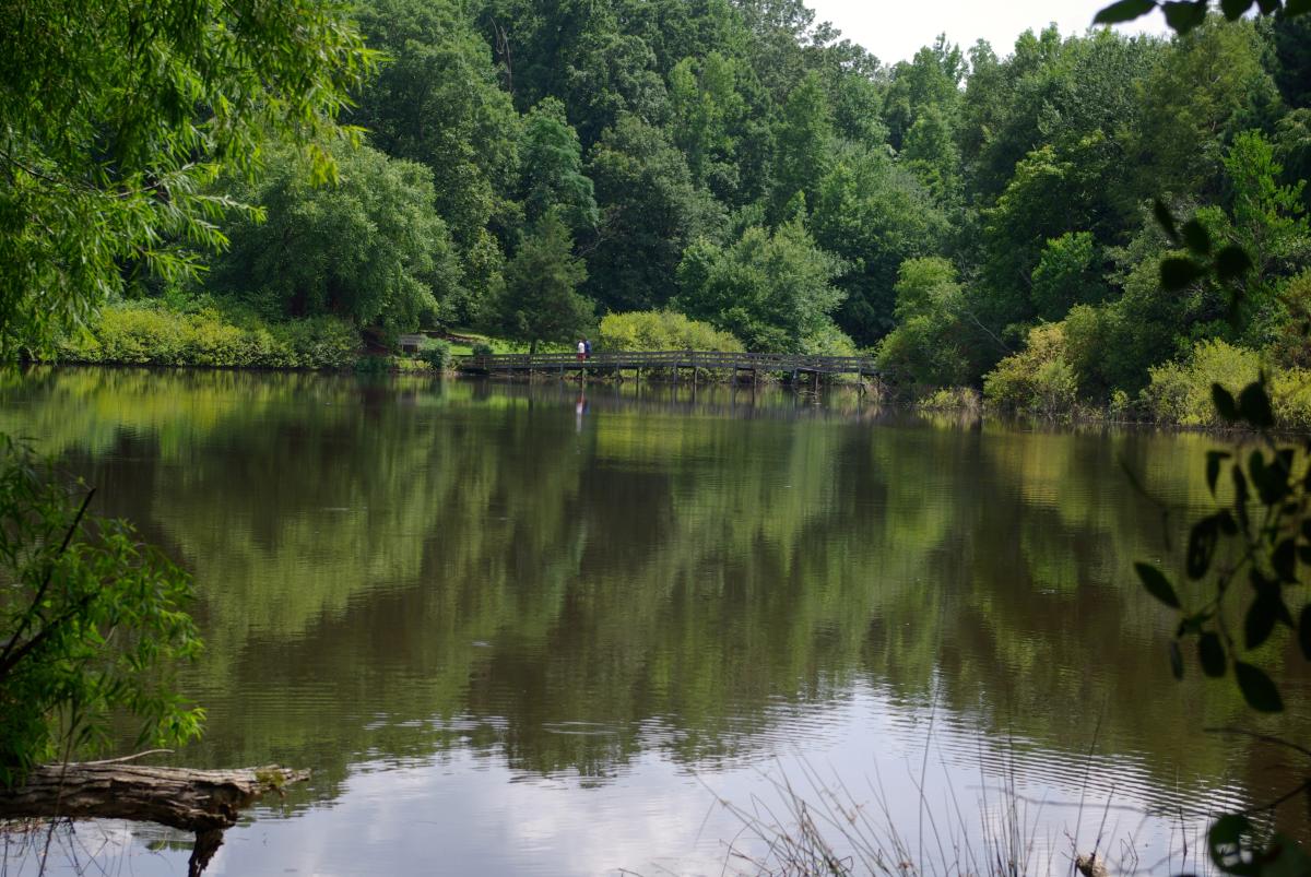 Free Things To Do In Athens, GA | Museums, Nature & Culture