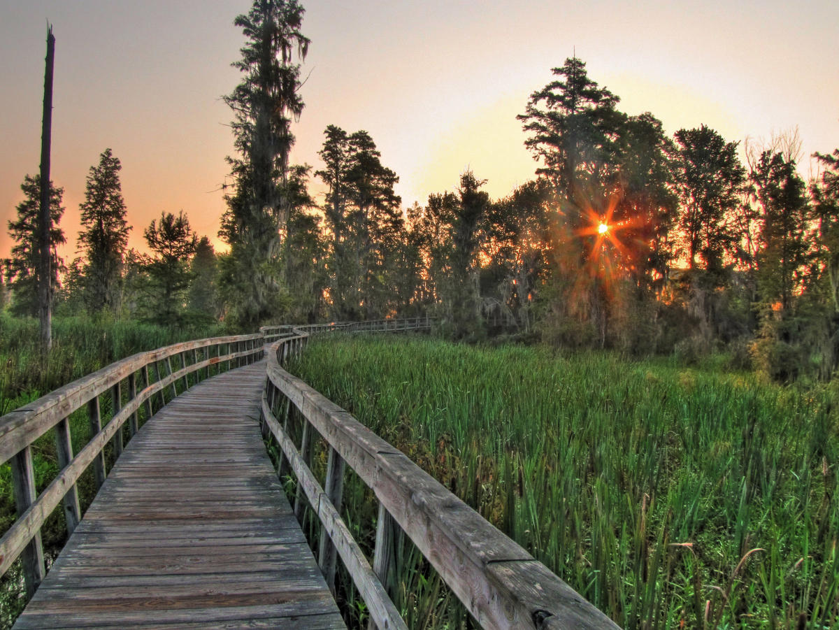 Augusta GA Parks | Campgrounds & Concerts