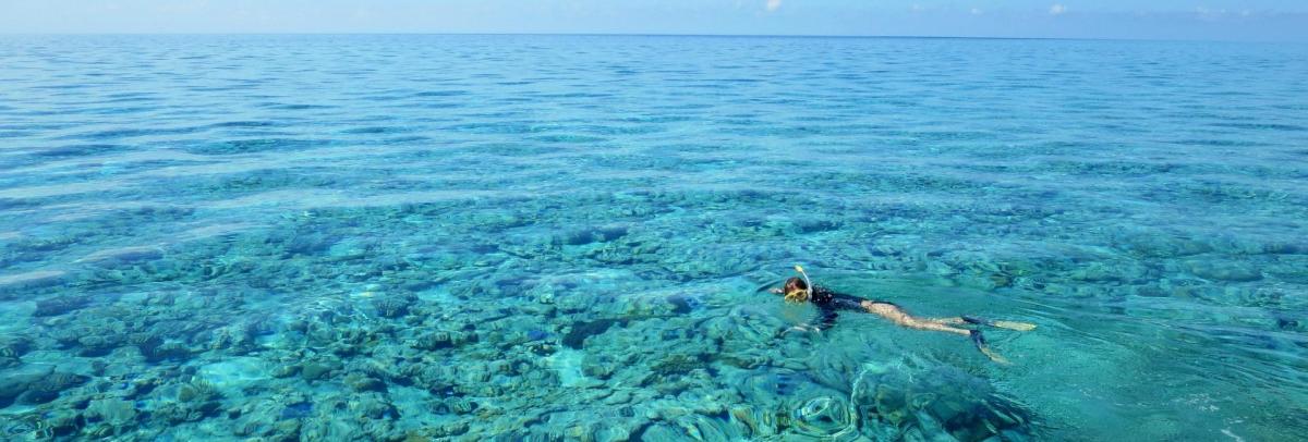 Rowley Shoals Marine Park | Australia's North West