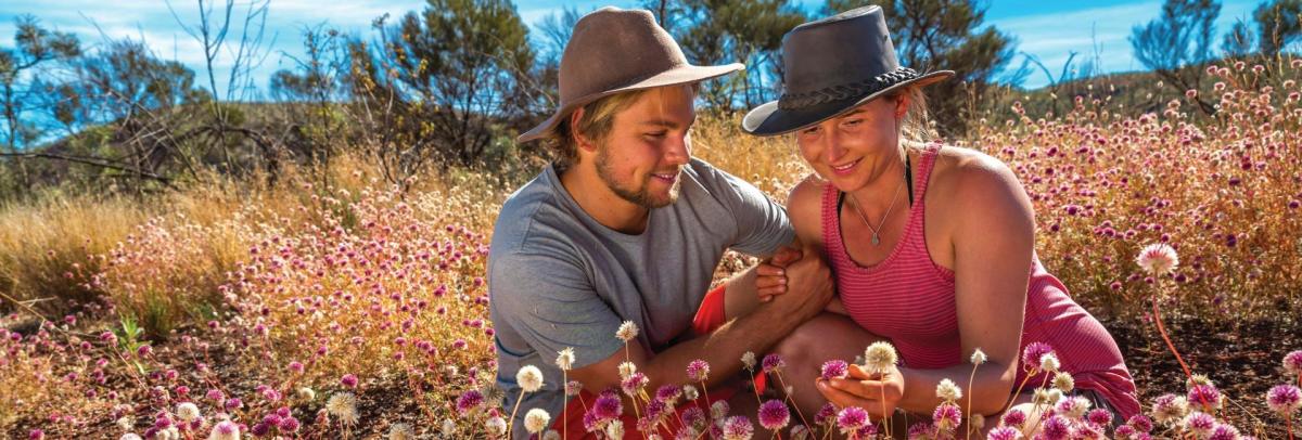 Pilbara Wildflowers Trail | Australia's North West